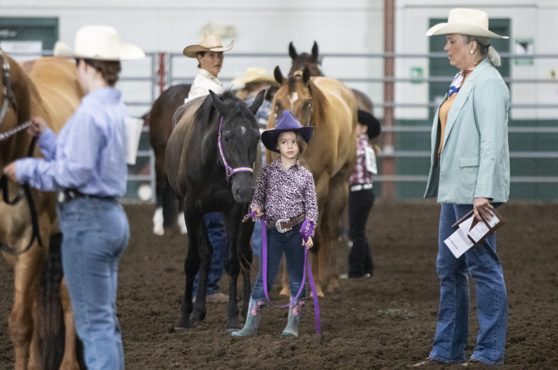 PHOTOS: Open Horse Show kicks off a week of Douglas County Fair events ...